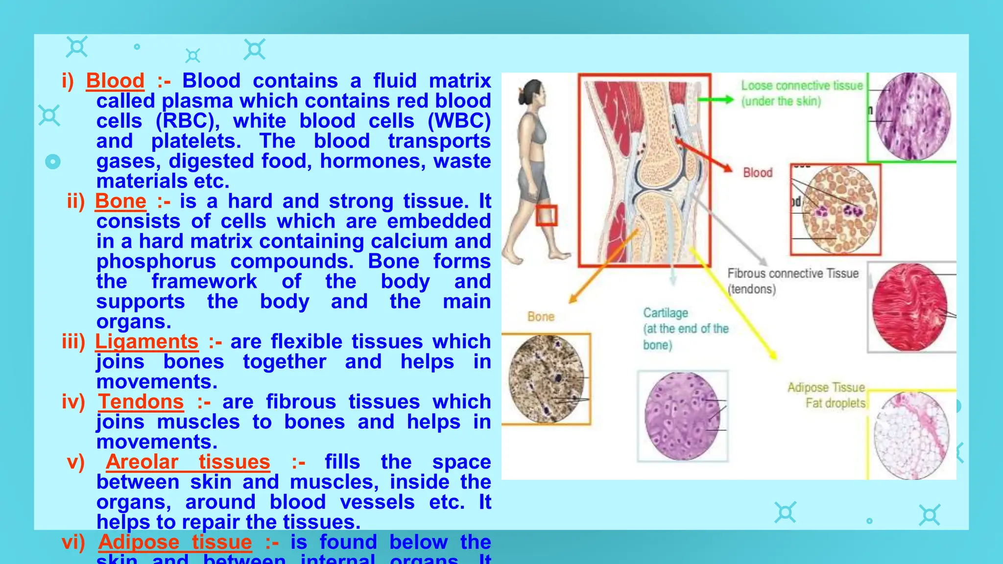 GenBio1W2L1 Cell Types and Cell Modification.pptx