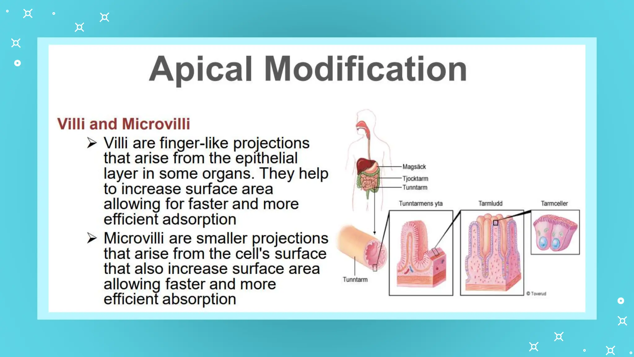 GenBio1W2L1 Cell Types and Cell Modification.pptx
