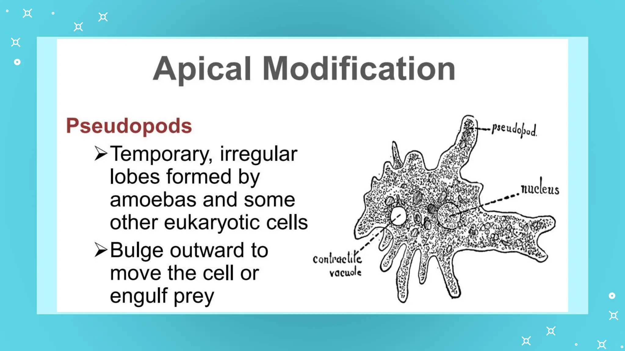 GenBio1W2L1 Cell Types and Cell Modification.pptx