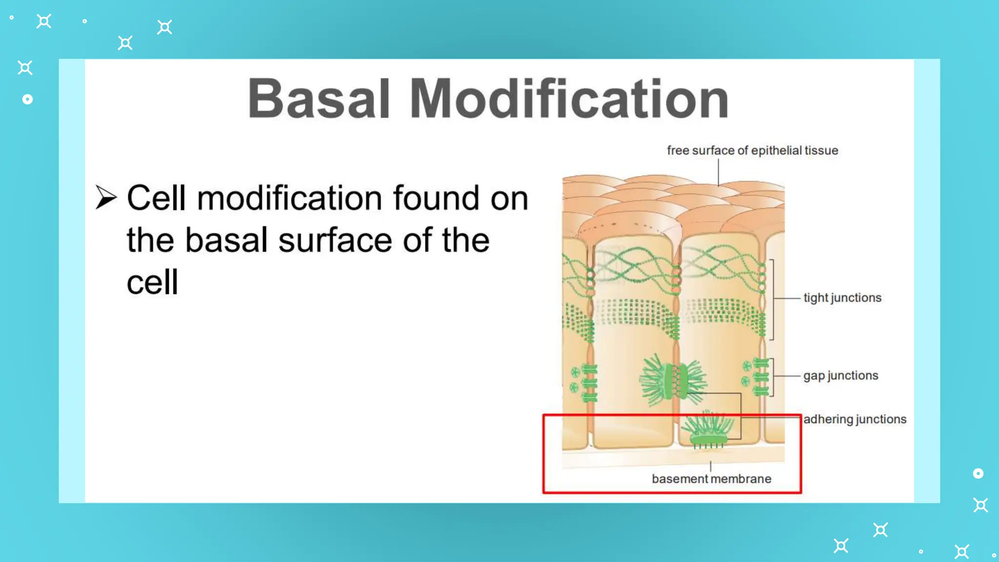 GenBio1W2L1 Cell Types and Cell Modification.pptx