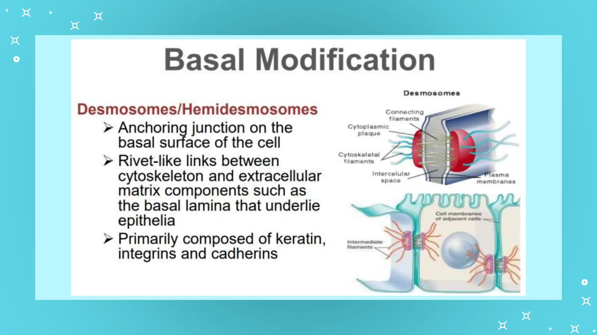 GenBio1W2L1 Cell Types and Cell Modification.pptx
