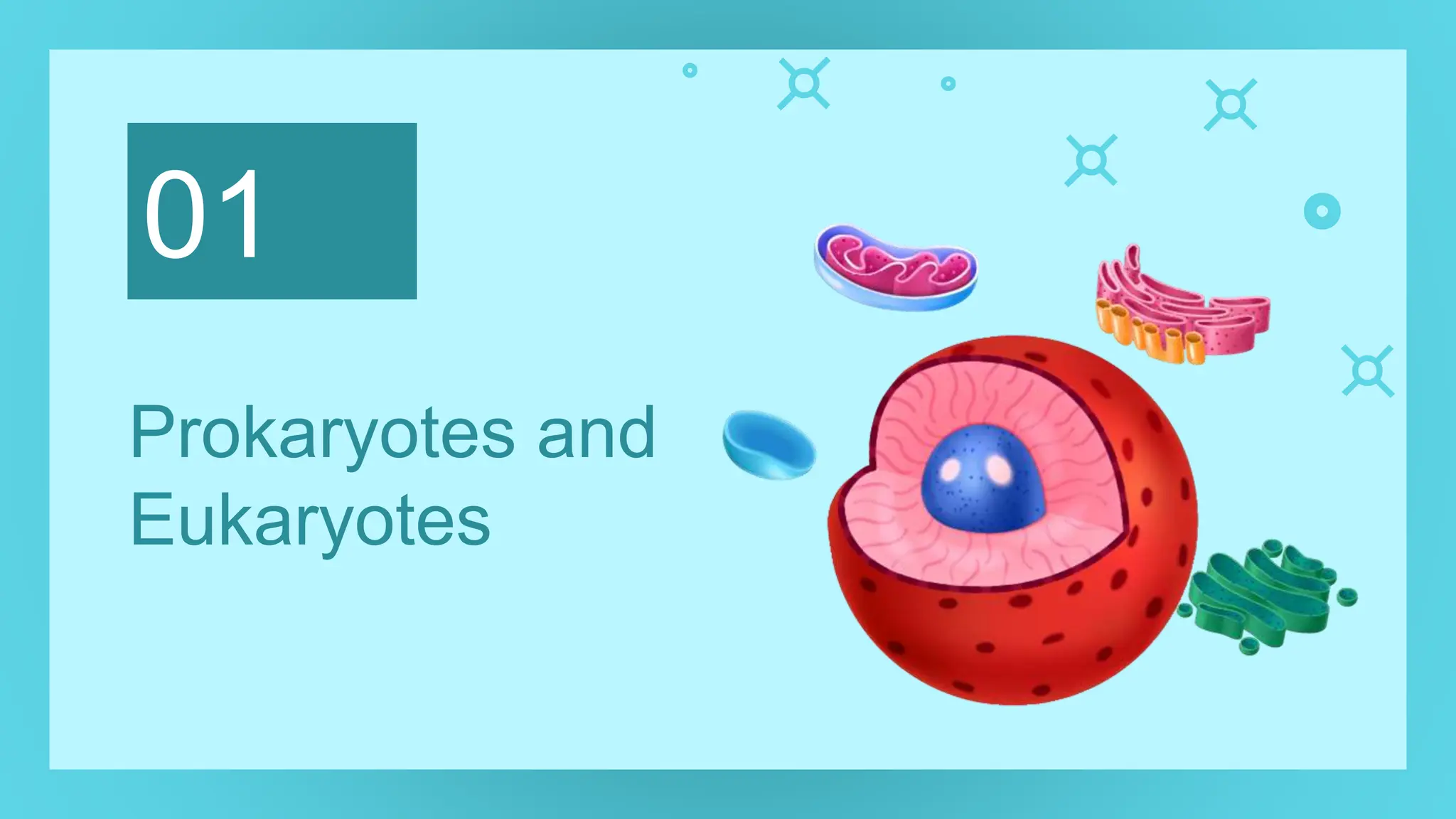 GenBio1W2L1 Cell Types and Cell Modification.pptx