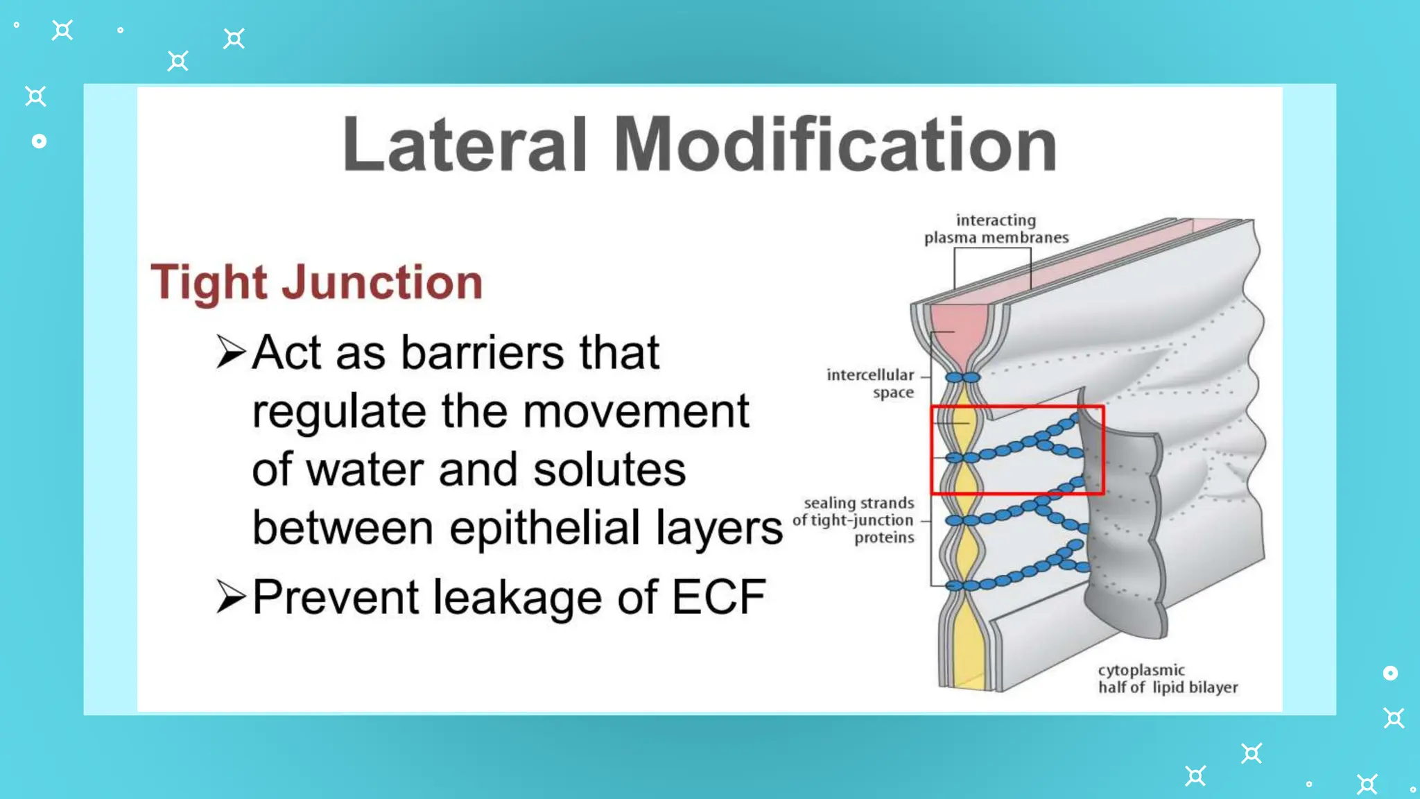 GenBio1W2L1 Cell Types and Cell Modification.pptx