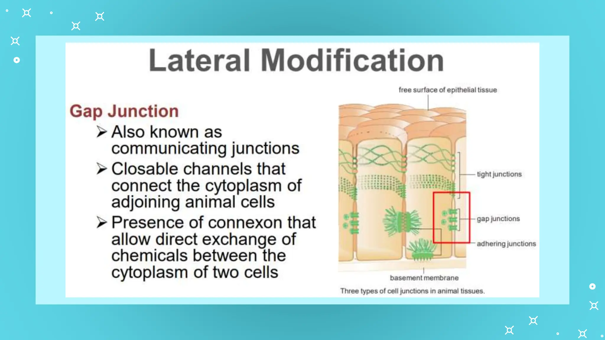 GenBio1W2L1 Cell Types and Cell Modification.pptx