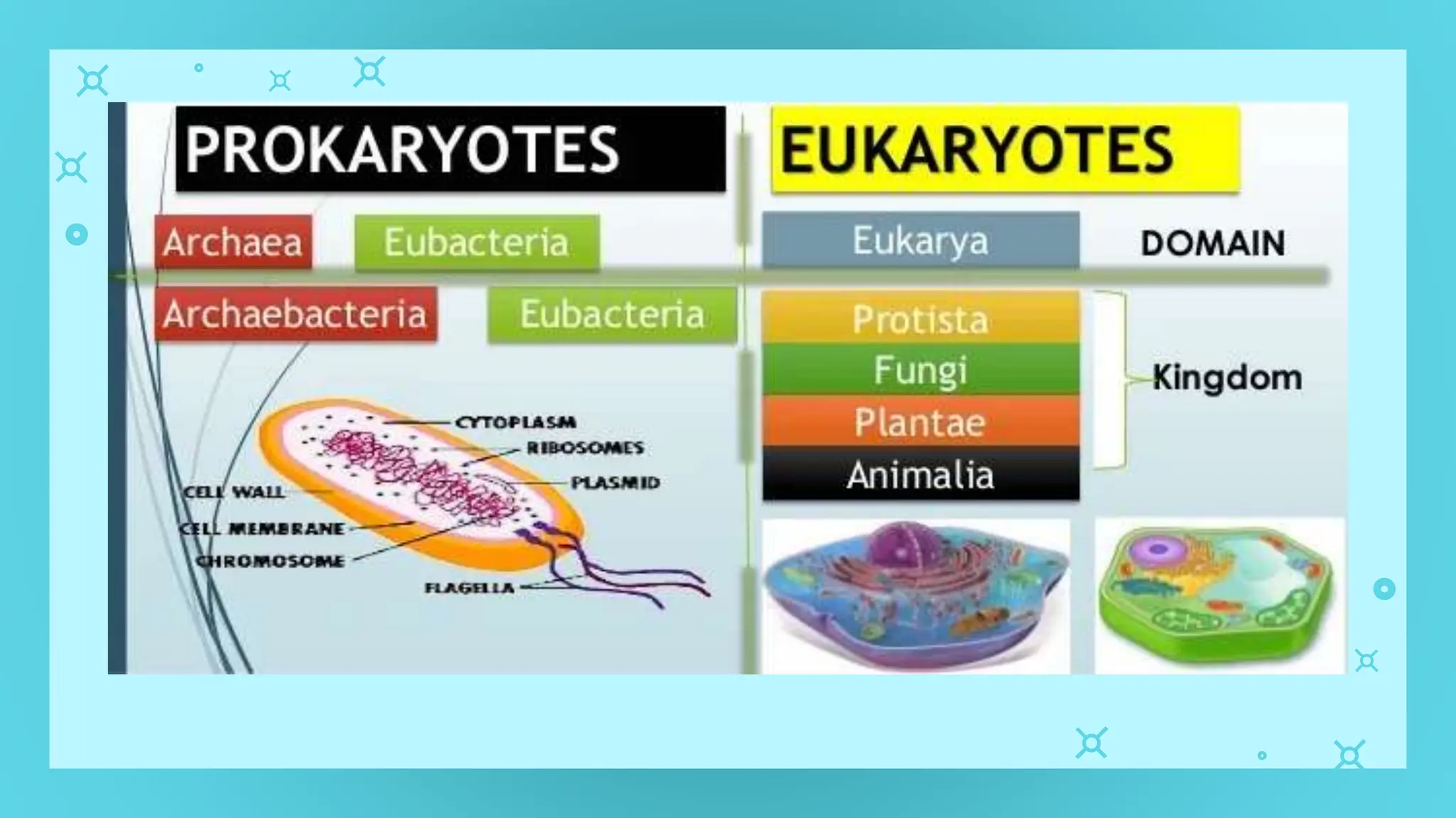 GenBio1W2L1 Cell Types and Cell Modification.pptx
