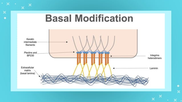 GenBio1W2L1 Cell Types and Cell Modification.pptx | Gardening | Home ...