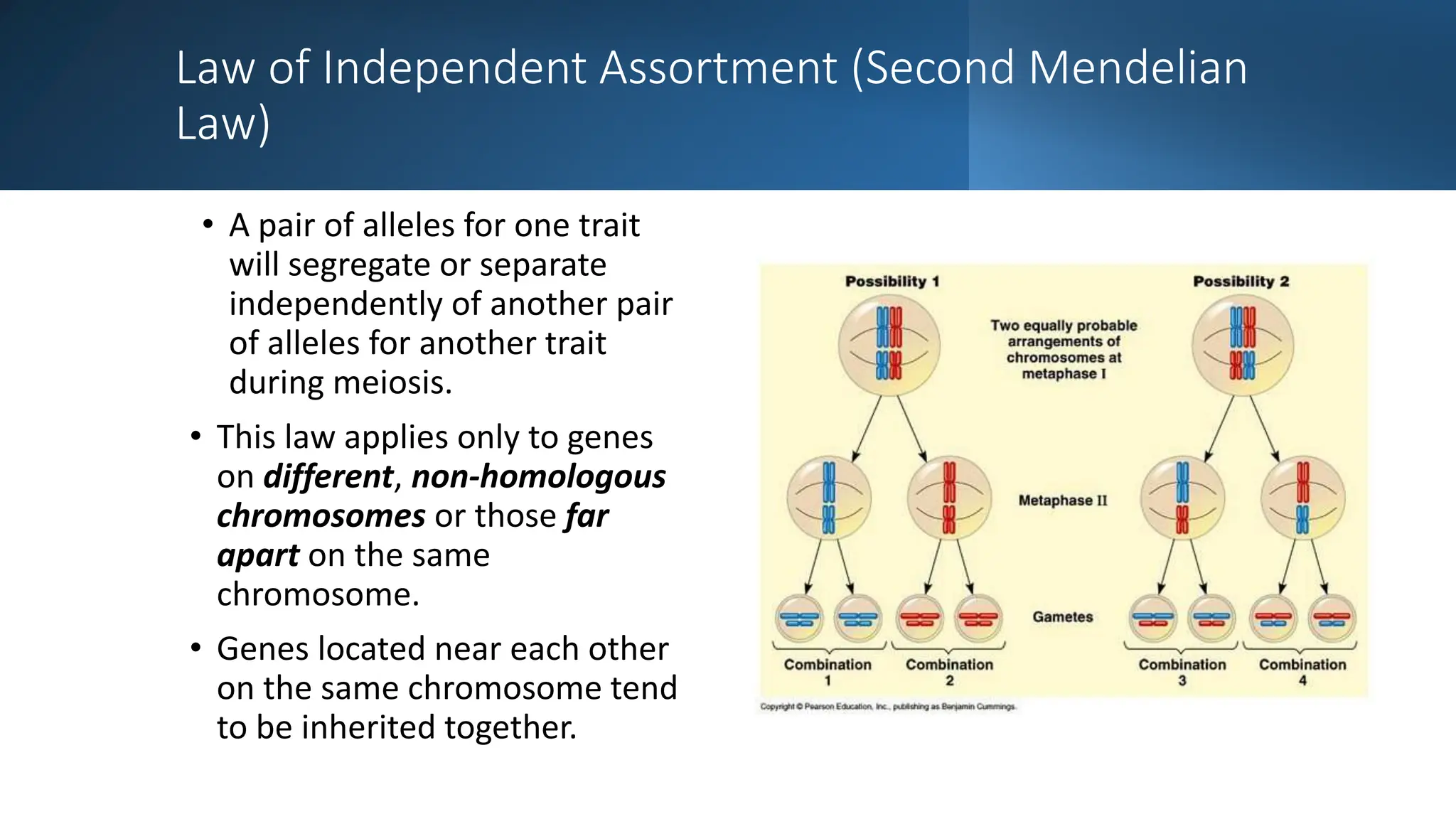 GenBio2 - Lesson 1 - Introduction to Genetics.pptx