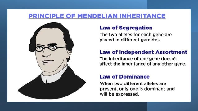 GenBio2 - Lesson 1 - Introduction to Genetics.pptx
