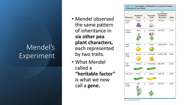 GenBio2 - Lesson 1 - Introduction to Genetics.pptx