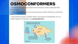 “PROCESSES IN PLANTS AND ANIMALS: Regulation of Fluids, Chemicals, and ...