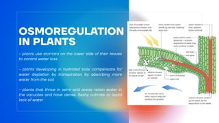 “PROCESSES IN PLANTS AND ANIMALS: Regulation of Fluids, Chemicals, and ...