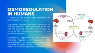“PROCESSES IN PLANTS AND ANIMALS: Regulation of Fluids, Chemicals, and ...