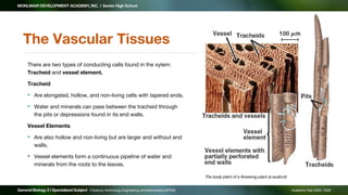 Gen_Bio_2_Lesson_01_Week_01_Plants_Forms_&_Functions.pdf