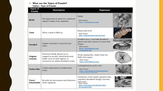 History of Life on Earth (General Biology 2, 1st Semester, Quarter 1 ...