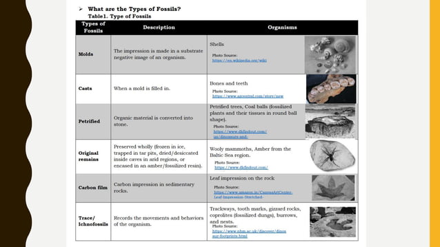 History of Life on Earth (General Biology 2, 1st Semester, Quarter 1 ...