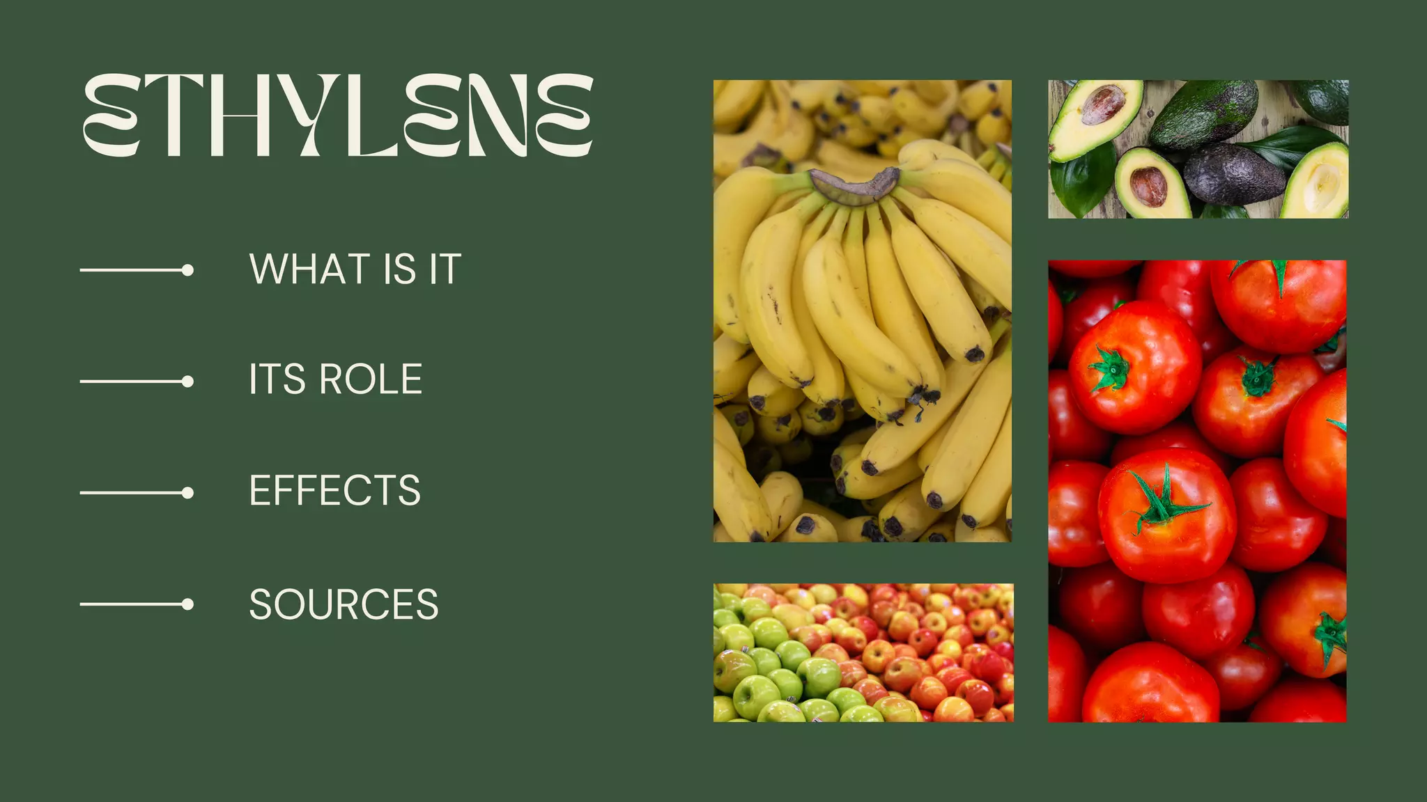 Plant Hormone: Ethylene | PDF