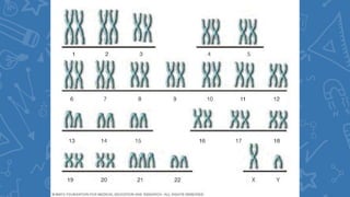 GEN BIO G2- DOWN SYNDROME report (1).pdf