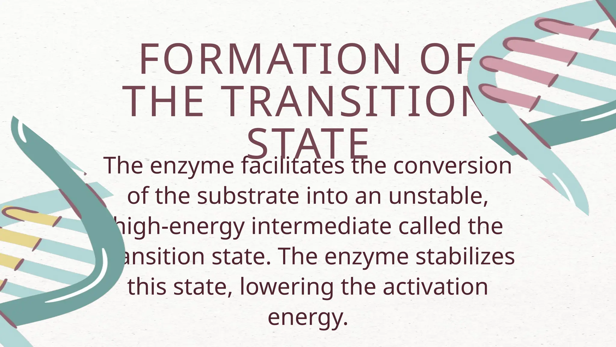 General Biology Biomolecules DNA, Protein and enzymes.pptx