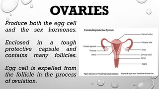 General Biology Introduction-to-reproduction | PDF