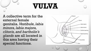 General Biology Introduction-to-reproduction | PDF