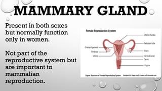 General Biology Introduction-to-reproduction | PDF