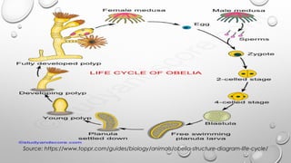 General Biology Introduction-to-reproduction | PDF
