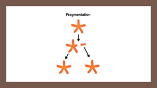 General Biology Introduction-to-reproduction | PDF