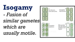 General Biology Introduction-to-reproduction | PPT