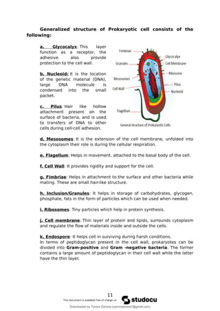 gen bio module 3 how prokaryotic and eukaryptic cells differs from each ...