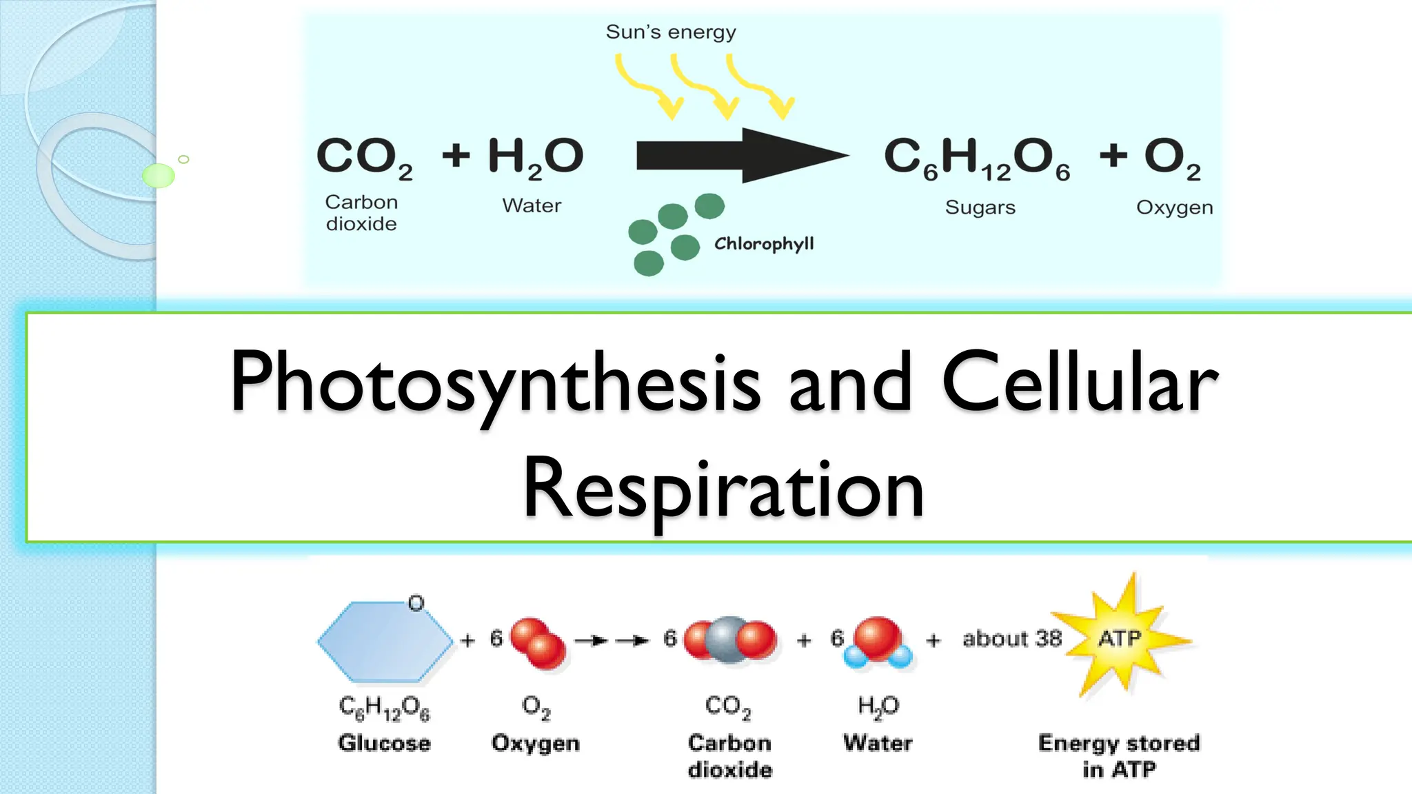 GENBIO_Photosynthesis-and-Cellular-Respiration.pdf