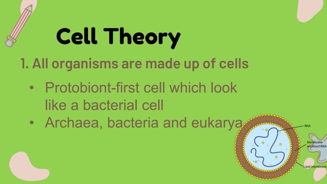 CELL THEORY.pptx | Free download