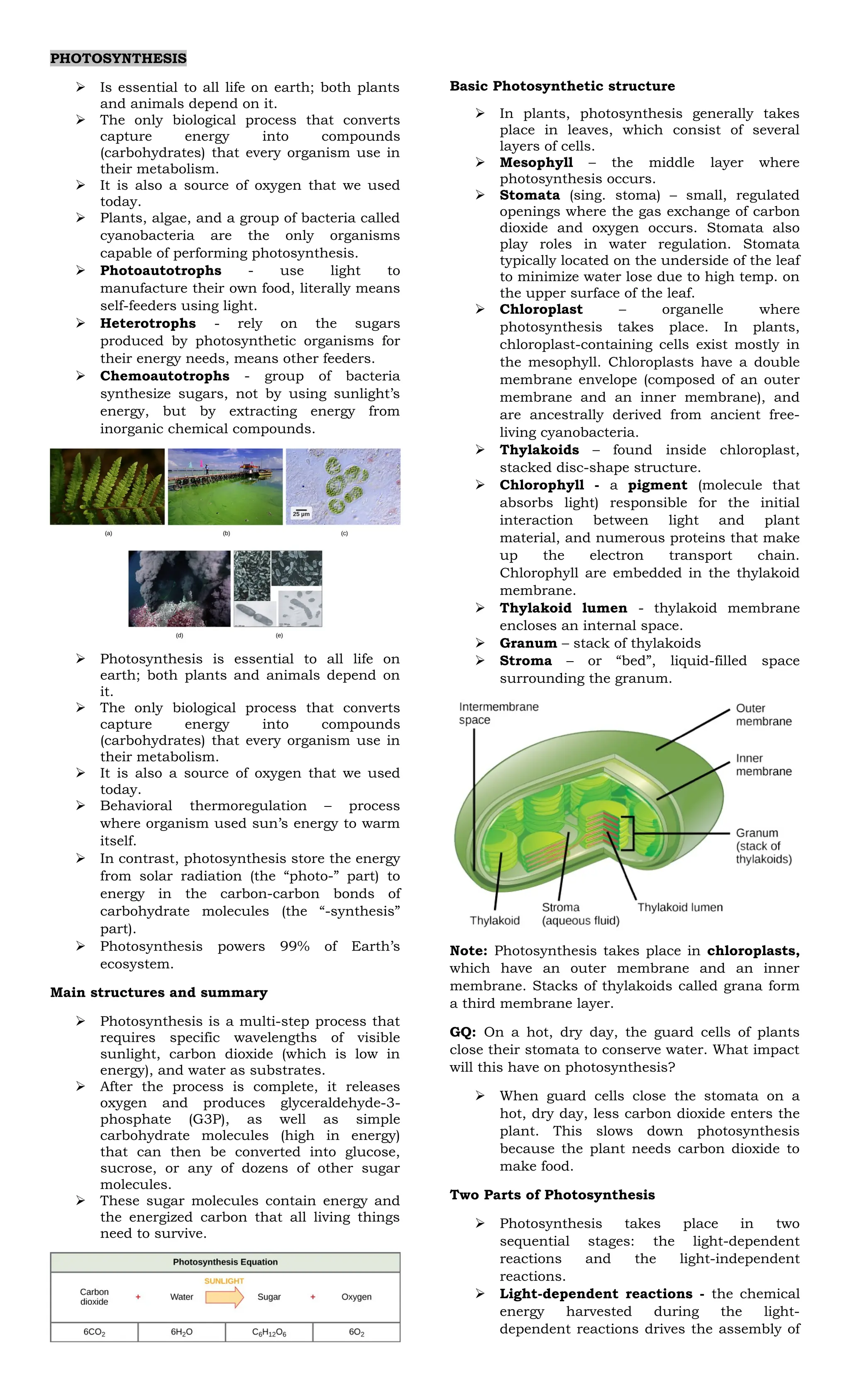 genbio q2 photosynthesis.docx lollllllllll | DOCX