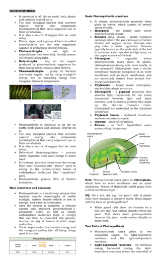 genbio q2 photosynthesis.docx lollllllllll | DOCX