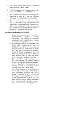 genbio q2 photosynthesis.docx lollllllllll | PDF