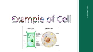 gen bio topic 1 topic Cell theory FOR STUDENTS.pdf