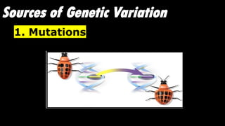 General Biology: Mechanisms of Evolutionary Change | PPTX