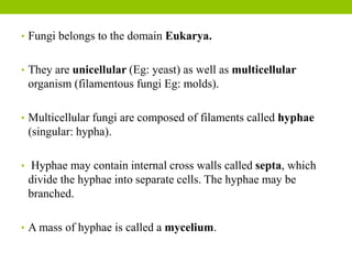 General Characteristics of Fungi | PPTX
