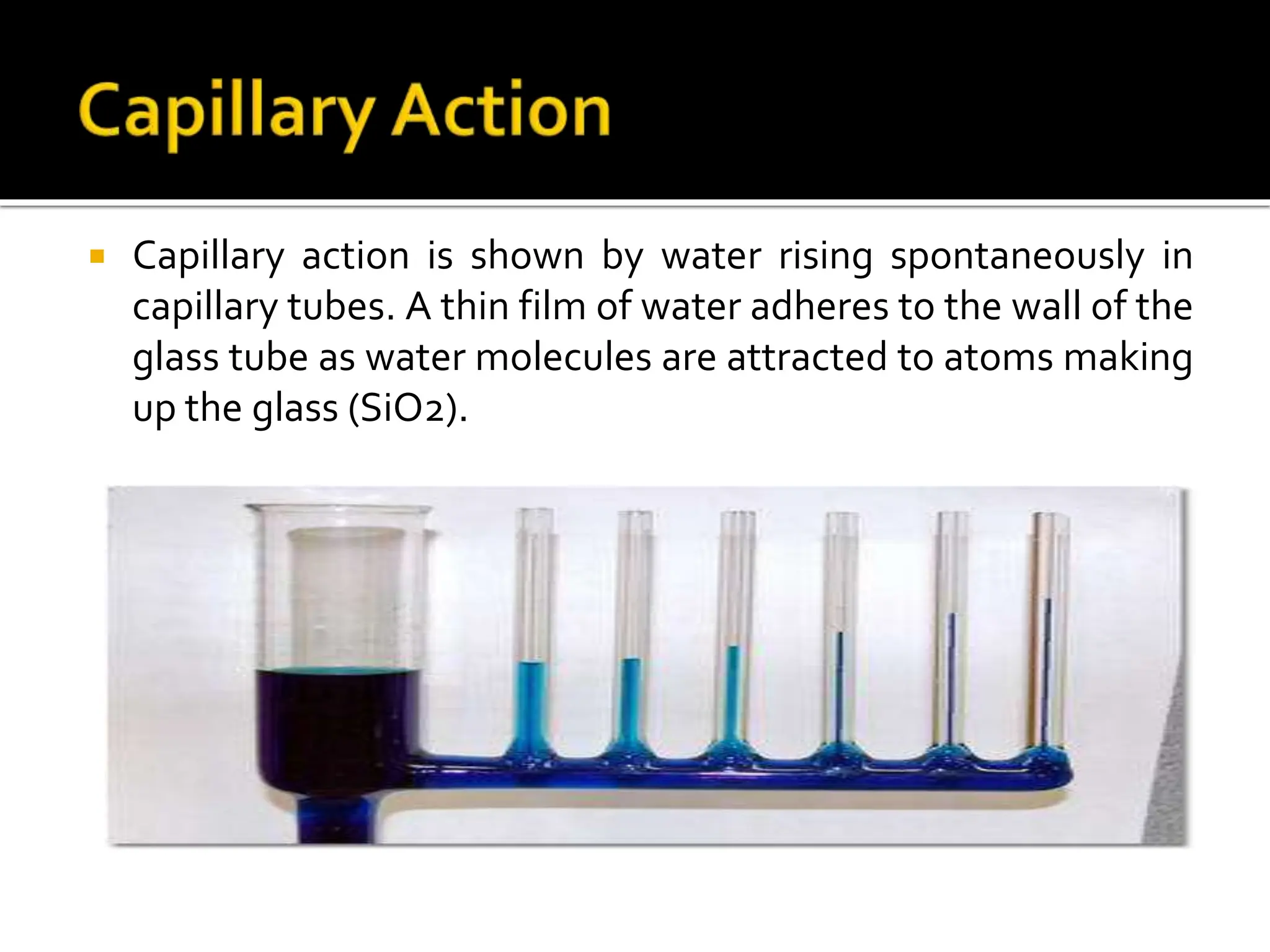 General Chemistry II] Intermolecular Forces | PPTX