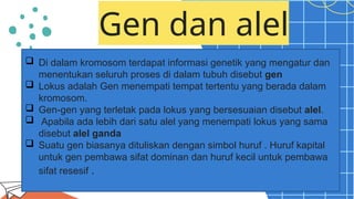 PPT Membahas mengenai Gen dan alel untuk kelas 12 | PPTX
