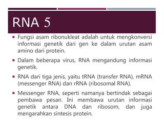 Gen dan Asam Nukleat | PPTX