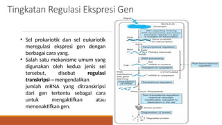 Gen dan Genom sebagai Dasar Bioteknologi | PPTX