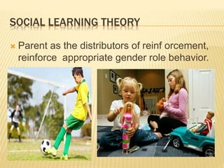 theories of gender | PPTX