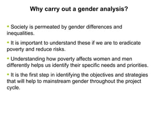 Gender mainstreaming and gender analysis in work addressing risk ...