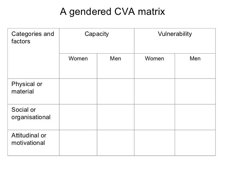Gender mainstreaming and gender analysis in work addressing risk redu…
