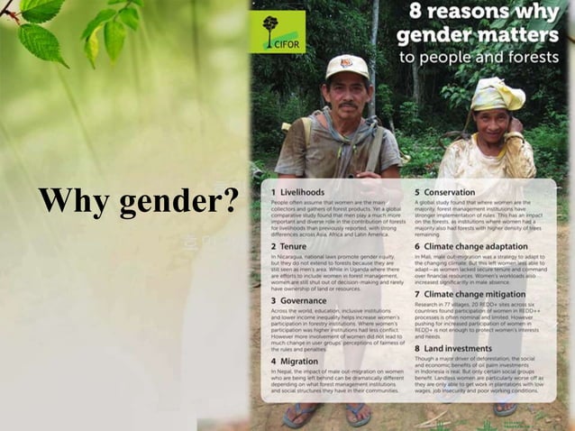 Gender dimensions in forest management | PPTX