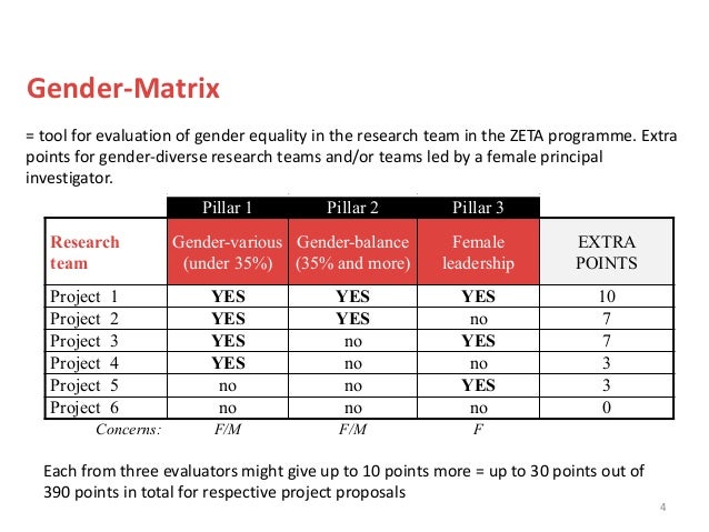 GEECCO PROJECT_Gender matrix ZETA programme.