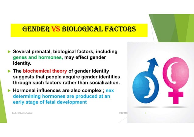 Gender socialization process | PDF