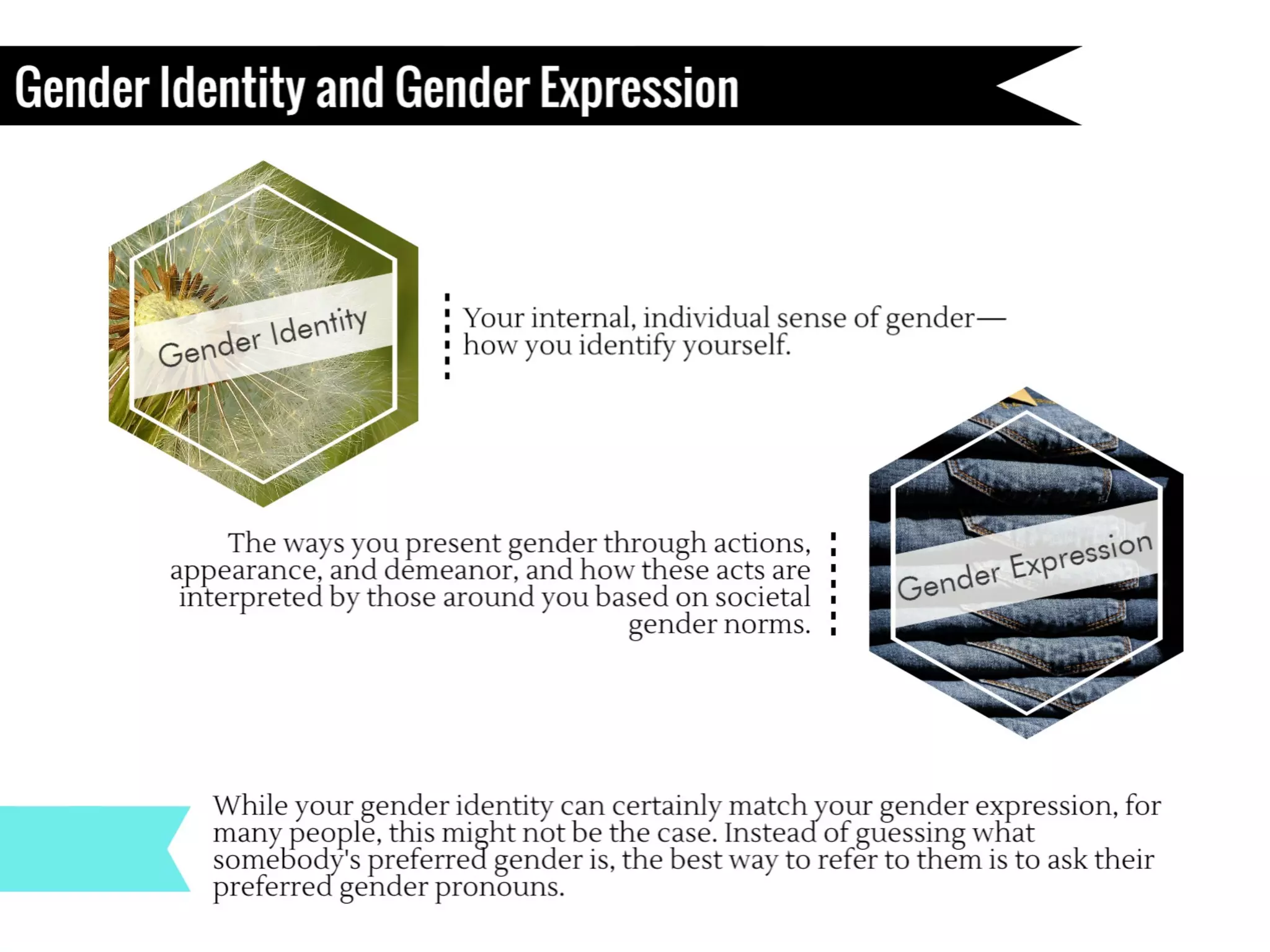 Confi - What is Gender | PDF