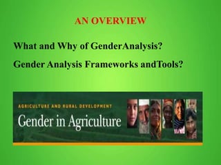 Gender analysis Survey | PPTX