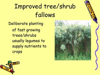 Gender and agroforestry in africa | PPT